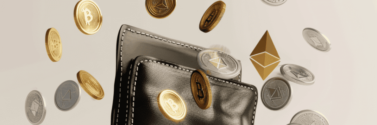 How to Choose the Right Crypto Wallet in 2024 - swissmoney